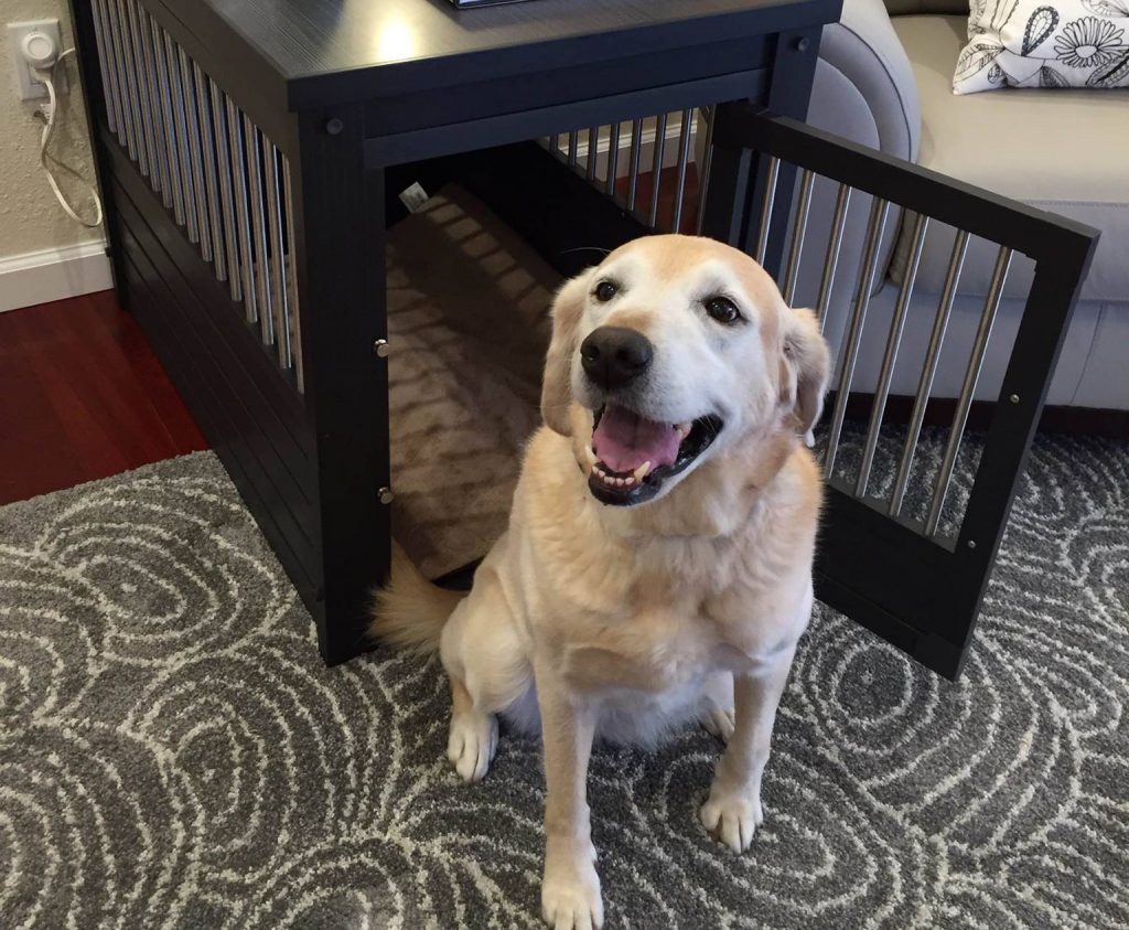 How to Crate Train Your Dog How to Crate Train Your Dog